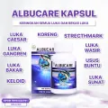 Albucare Ekstrak Ikan Gabus 100 Kapsul, Kapsul Albumin, Obat Penambah ...