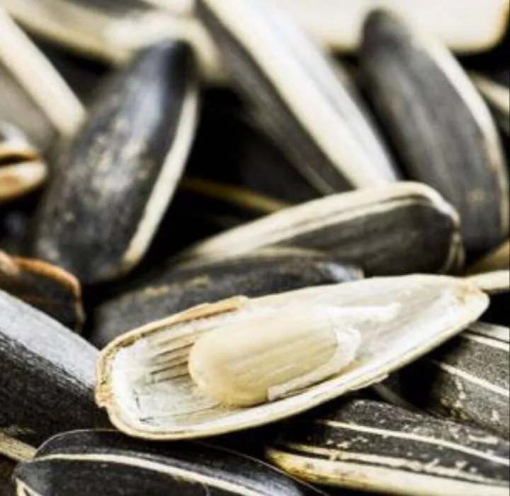 Sunflower Seed/ Kuaci Bunga/ Kuaci Timbang/ Kuaci Wangi/ Cha Cheer ...