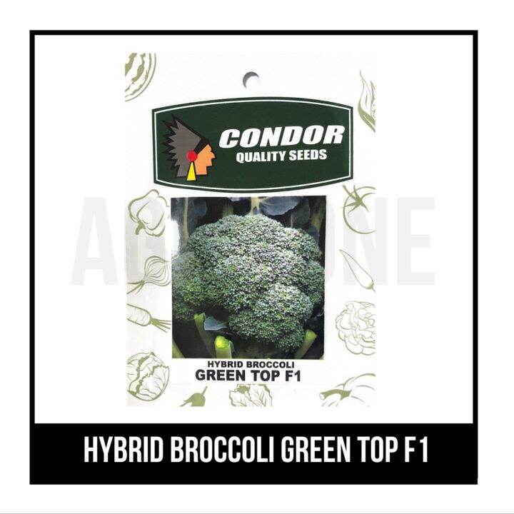 Condor Seed Hybrid Broccoli Green Top F1 | Lazada PH