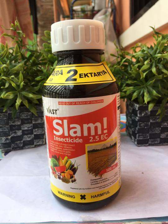 Slam Insecticide 2.5 EC 500ml | Lazada PH
