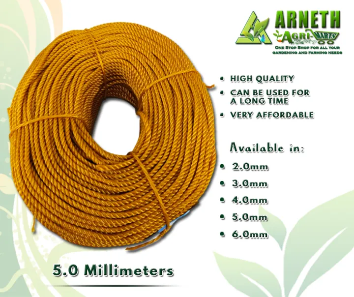 MULTI PURPOSE PYLON ROPE FOR FISHING OR TRELLISING (5mm) 1 ROLL | Lazada PH