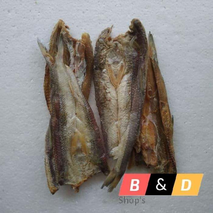 Ikan Asin Gabus Laut Super Netto 1 Kg. | Lazada Indonesia