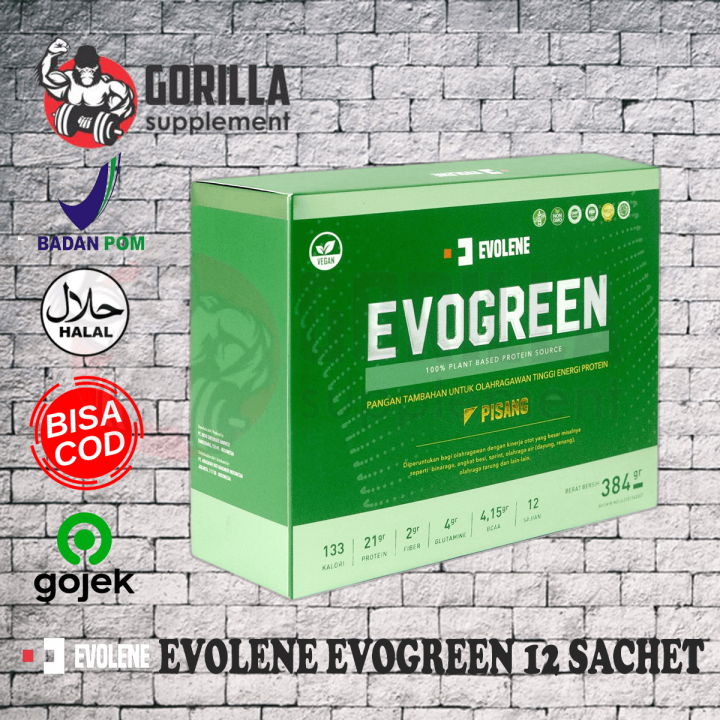 EVOLENE EVOGREEN 384 Gram Isi 12 sachet VEGAN PROTEIN PLANT BASED ...