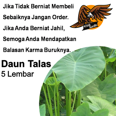 Daun Talas Buat Buntil per 5 lembar untuk pakan ikan | Lazada Indonesia