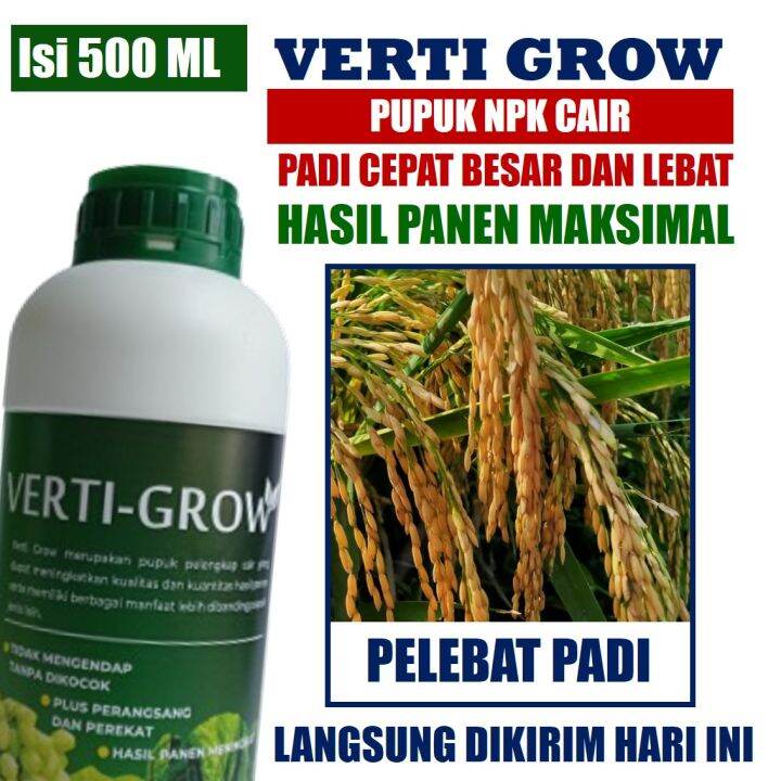 PUPUK PELEBAT PADI VERTI-GROW PEMBESAR BUAH dan BOBOT PADI Lebih Berat dan Banyak - Pupuk NPK ...