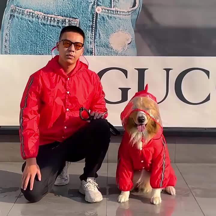 Dog Clothes Golden Retriever Jarre Aero Bull Pug Lador Cat Four-Legged ... Dog Clothes Golden Retriever Jarre Aero Bull Pug Lador Cat Four-Legged ...