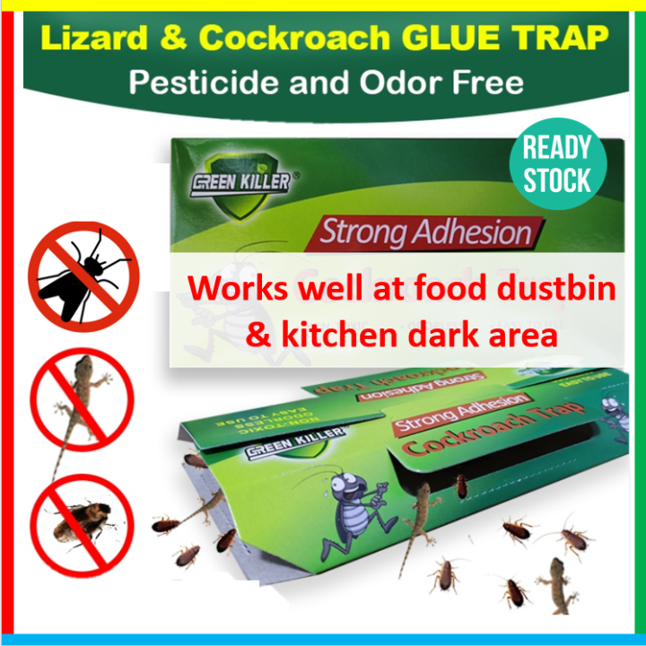 10pcs Insects trap glue sticky Perangkap cicak 蟑螂 壁虎 lipas lizard ...