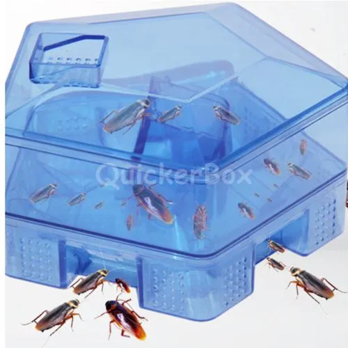 New Cockroach House Roacher Insects Bugs Capture Bait Trap Killer ... New Cockroach House Roacher Insects Bugs Capture Bait Trap Killer ...