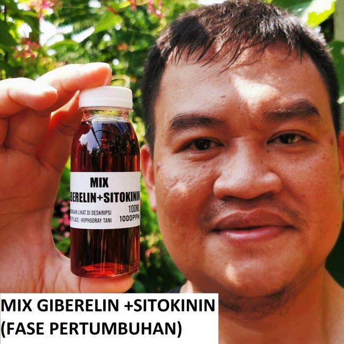Hormon Tanaman Mix Giberelin Sitokinin 100ml Fase Vegetatif | Lazada ...