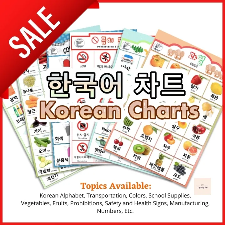 Korean Laminated Chart Korean Vocabulary for Beginners (A4); Colorful ...