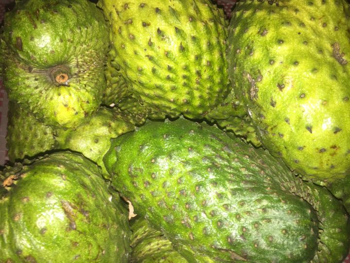 Guyabano fruit fresh from davao | Lazada PH
