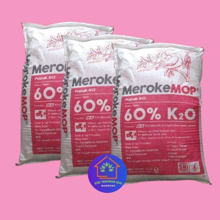 COD Pupuk Kalium Tinggi KCL Merouke MOP 1 Kg / 500 Gram Repack | Lazada ...