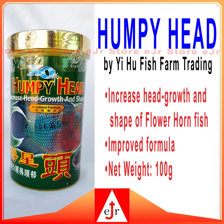 eJr Store - HUMPY HEAD by Yi Hu Fish Farm Trading Size: Medium Large ...