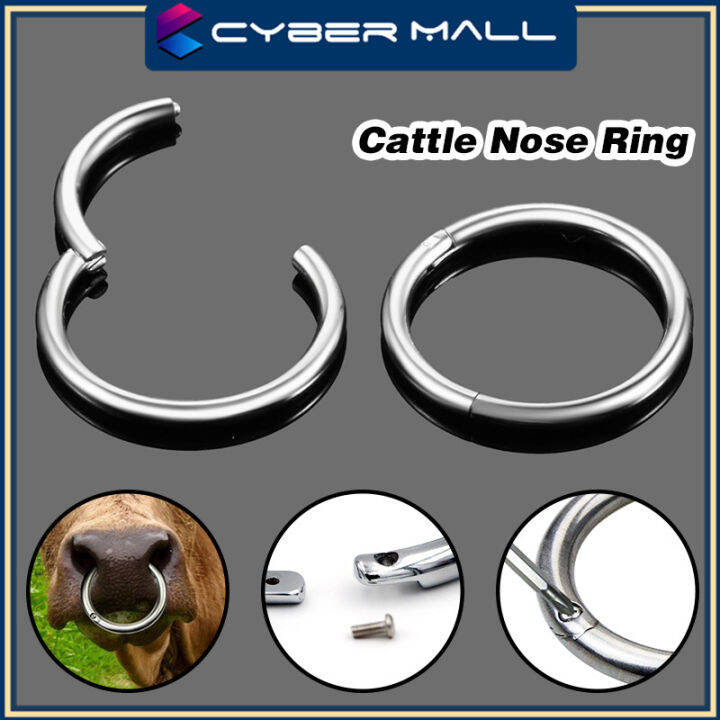 7cm Bull Cow Cattle Nose Ring Stainless Steel Big Cattle Nose Ring ...
