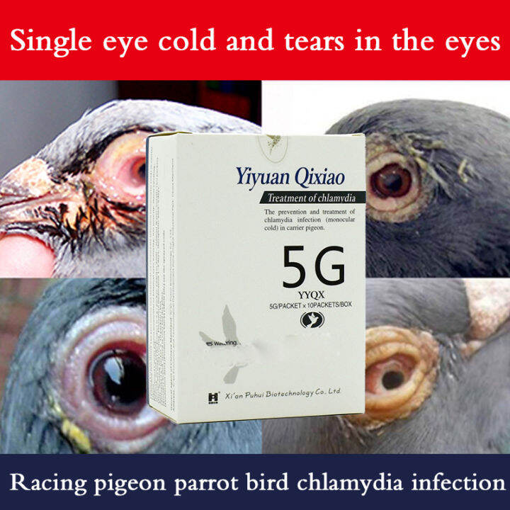 Chlamydia, Homing Pigeon, Pigeon Medicine, Monocular Cold, Parrot Bird ...