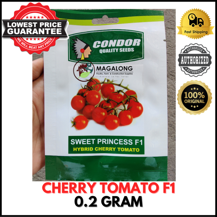 CONDOR SEEDS - CHERRY TOMATO SEEDS - SWEET PRINCESS 0.2 Grams | Lazada PH