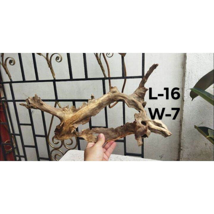 QUALITY DRIFTWOOD FOR AQUASCAPING (Fish Hides, Shrimp Hides, Tarantula ...