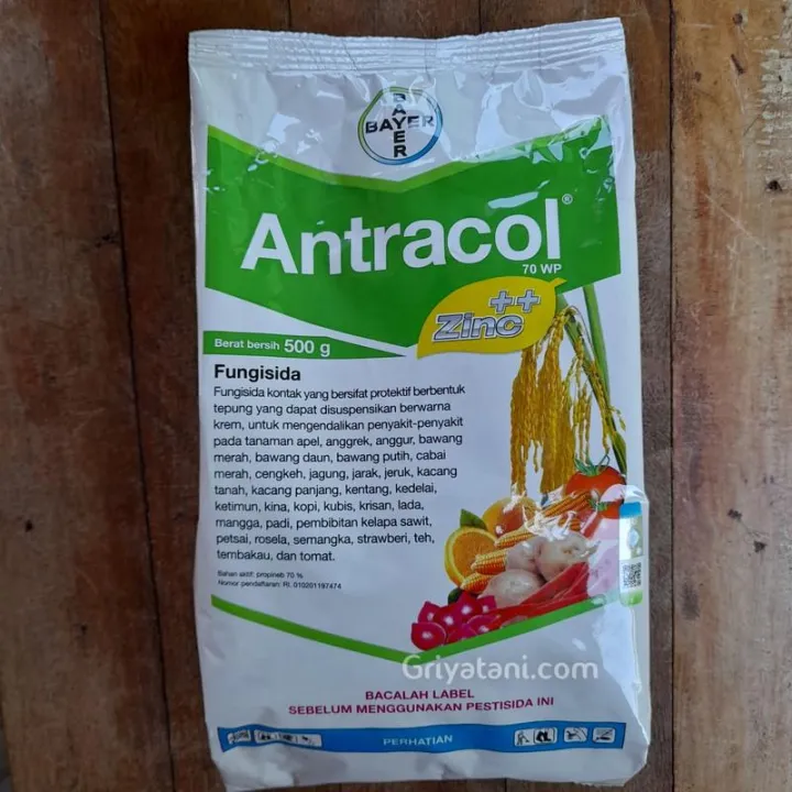 Fungisida Antracol 70WP 500 gr | Lazada Indonesia