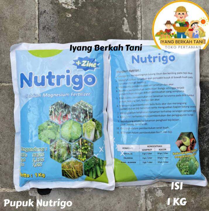 PUPUK CALSIUM NUTRIGO +ZINC KEMASAN 1 KG pupuk | Lazada Indonesia