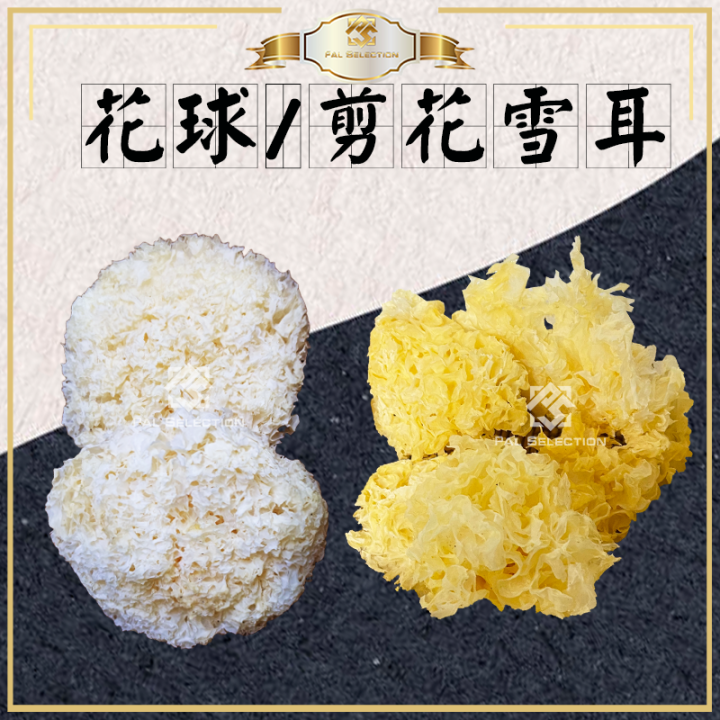 PS White fungus/snow fungus/cendawan putih kering 花球/剪花雪耳 white wood ...