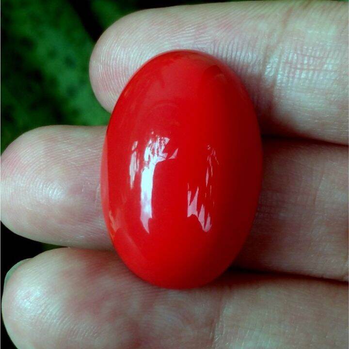 Batu Mulia Red Marjan Big Size 30mm | Lazada Indonesia