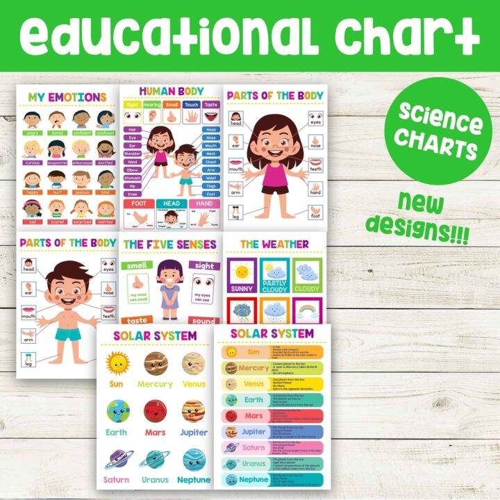 Laminated Educational Chart Science Parts of the Body Five Senses ... Laminated Educational Chart Science Parts of the Body Five Senses ...