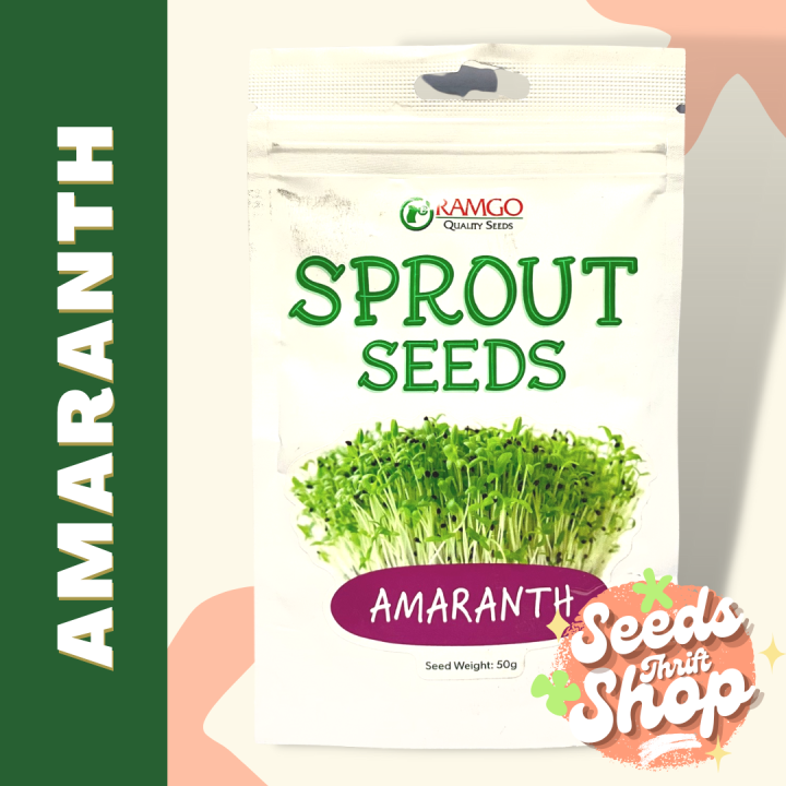 AMARANTH SPROUT SEEDS-RAMGO 50G | Lazada PH