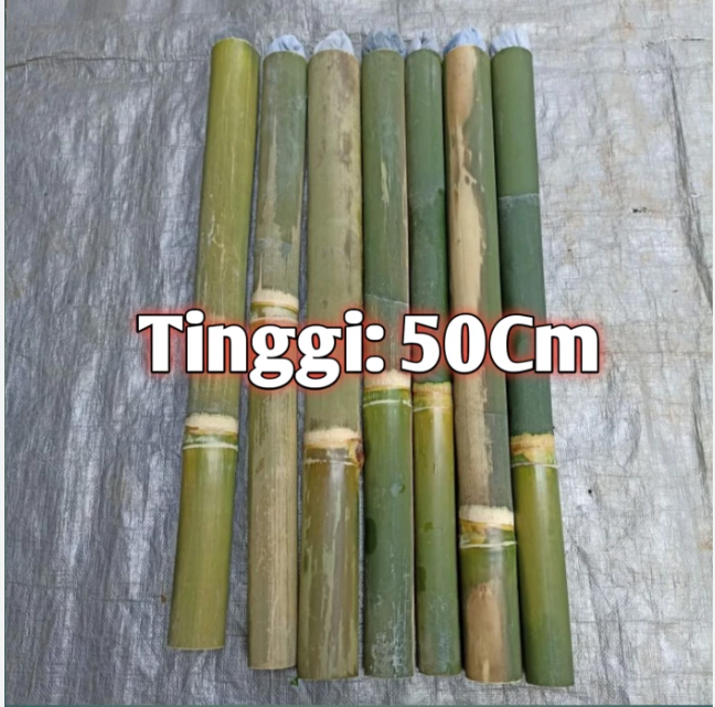 Nakwedok Jual Obor Bambu Panjang 50 cm Dan Sumbu | Lazada Indonesia