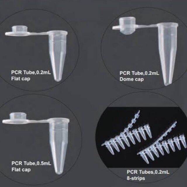 5 pcs Botol Tube Lem Tester Kosong Satuan PCR Tube 0.5 ml Microtube ...