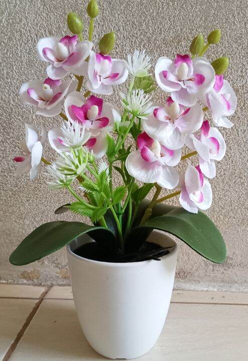 bunga mini plastik lengkap dengan pot | Lazada Indonesia