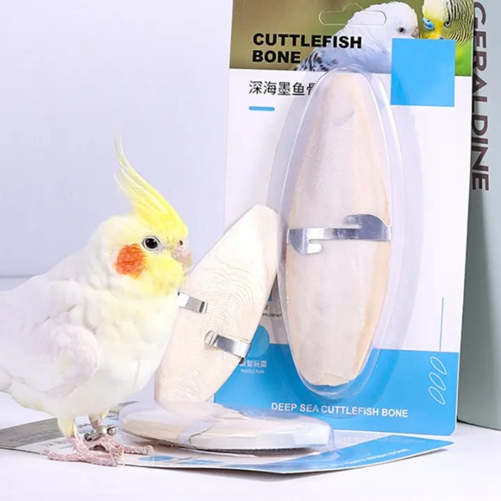 Cuttlebone for Parakeets Cuttle Bone with Metal Holder Birds Chewing ...