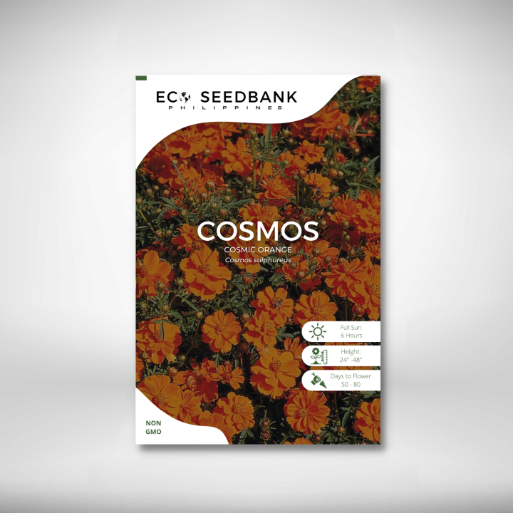 Cosmos Orange | Flower Seeds | Eco Seedbank Philippines | Lazada PH
