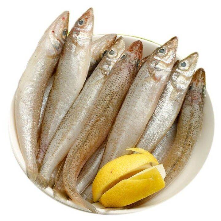 Ikan Bulus | Silver Sillago | 沙尖魚 (pkt/1kg) | Lazada