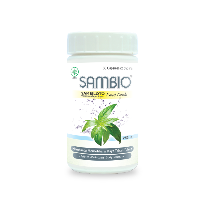 SAMBIO 60 KAPSUL (Sambiloto) | Lazada Indonesia