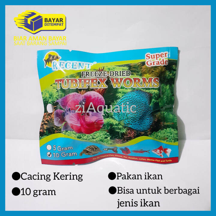 Cacing Kering 10gram / Tubifex Worms super grade / Pakan berbagai jenis ...