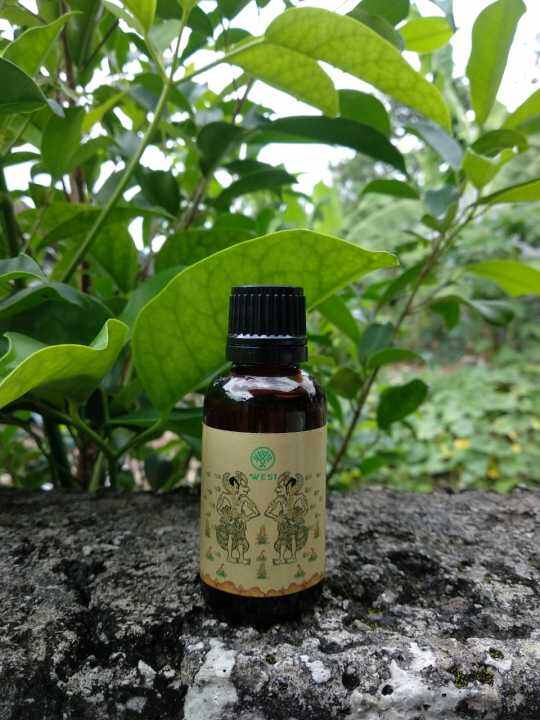Minyak Daun Cengkeh Wesi 30 Ml | Lazada Indonesia