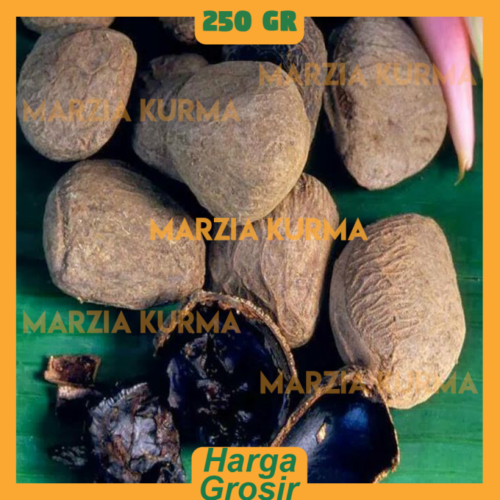 Kluwak atau Kluwek 250g | Lazada Indonesia