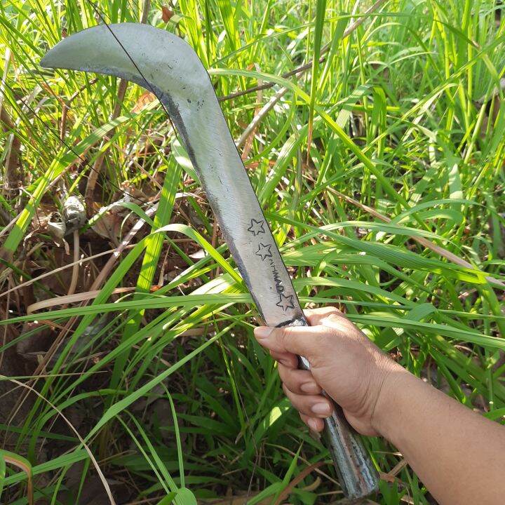 Arit Panjang Babat Semak - Bendo Golok Besar Potong Ranting | Lazada ...