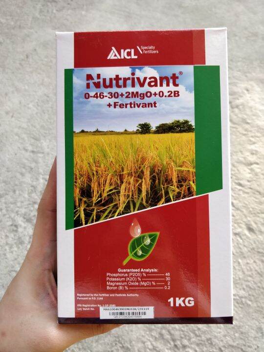 NUTRIVANT (0-46-30+2MgO+0.2B+FERTIVANT) - 1 KILO | Lazada PH