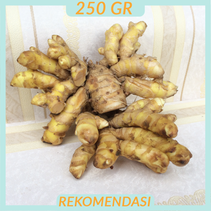 Temu Mangga Curcuma Mangga 250 GR - Besar dan Segar | Lazada Indonesia