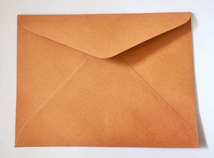 Golden Kraft Brown Envelope 200 lbs. | Lazada PH
