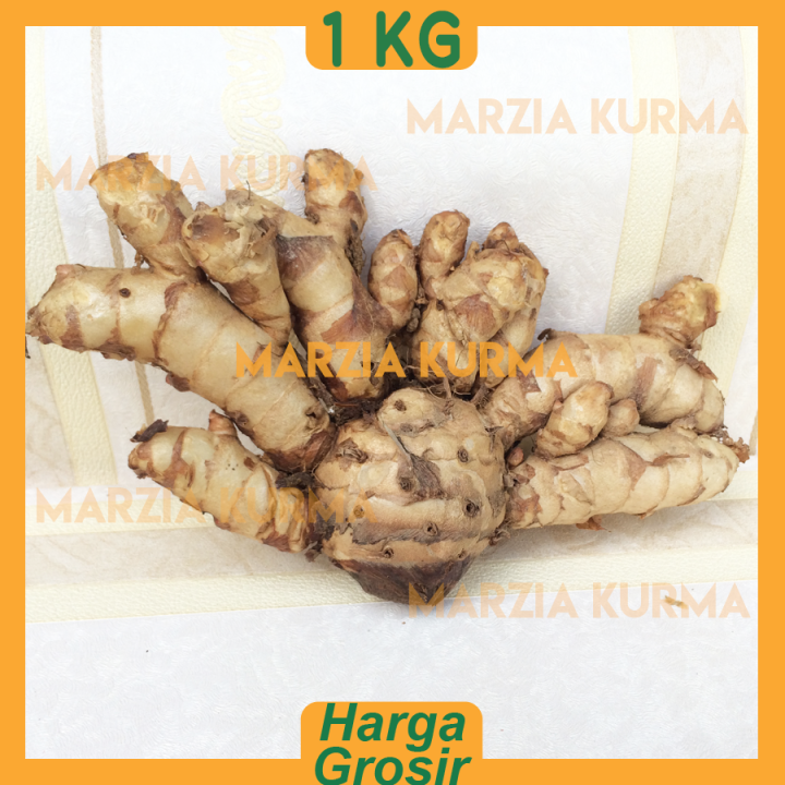 Temu Ireng atau Temu Hitam Segar 1 KG | Lazada Indonesia