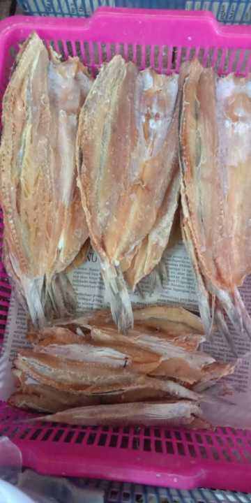 [ BERMUTU TINGGI ] ikan asin gabus laut 200gram / ikan asin peda merah ...