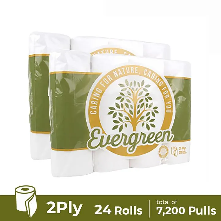 Evergreen Bathroom Tissue 2 Ply - 12 Rolls x 2 Packs (24 Rolls) | Lazada PH