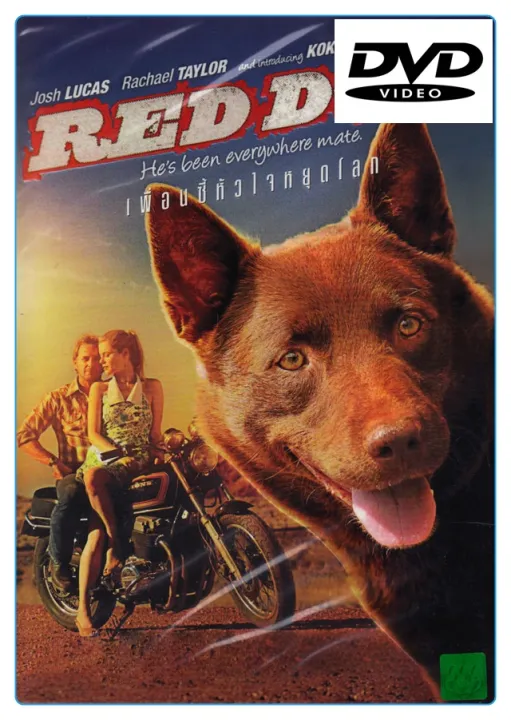 Red Dog เพื่อนซี้หัวใจหยุดโลก (DVD) | Lazada.co.th
