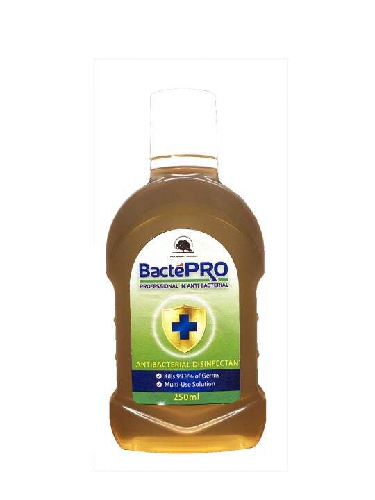 Bactepro Antibacterial Antiseptic Disinfectant 250ml | Lazada