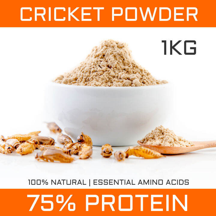 Cricket Powder 75% Protein (ผงโปรตีน 75 % จากจิ้งหรีด) : 1 กิโลกรัม ...