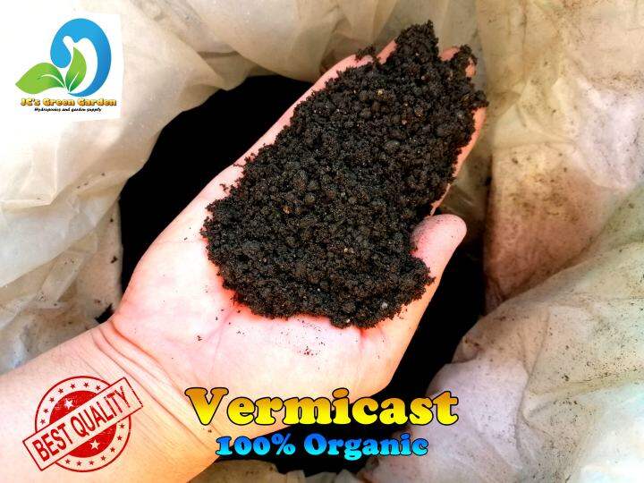 (1KILO) Vermicast (100% Organic)-Mixed to your soil to improve plant ...