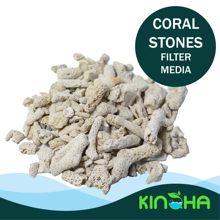 Aquarium Coral Stone Filter Media with free net per kg PH stabiliser ...