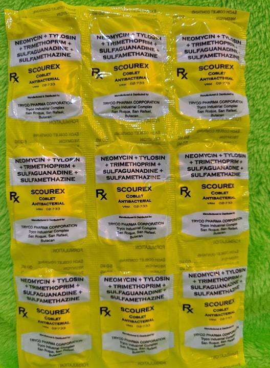 Scourex tablet Pack of 10 pcs | Lazada PH